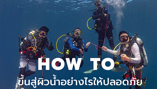 How To ขึ้นสู่ผิวน้ำอย่างปลอดภัย - Dive Mate
