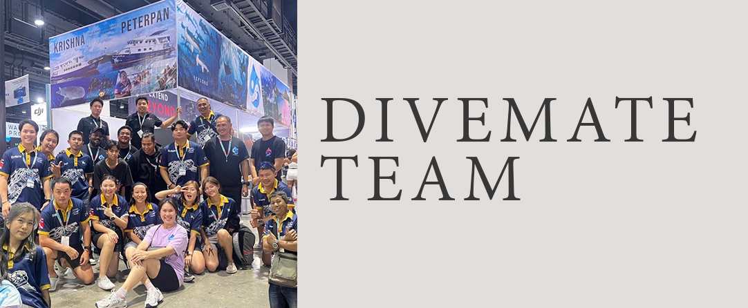 About Team - Dive Mate