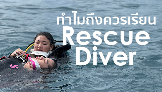 ทำไมถึงควรเรียน Rescue Diver - Dive Mate
