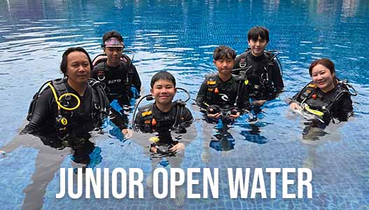 Junior Open Water - Dive Mate