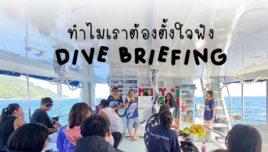 Dive Briefing - Dive Mate