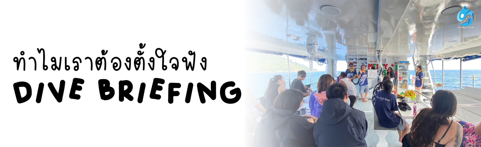Dive Briefing - Dive Mate