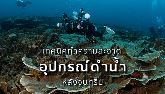 How to store your diving gear? - Dive Mate