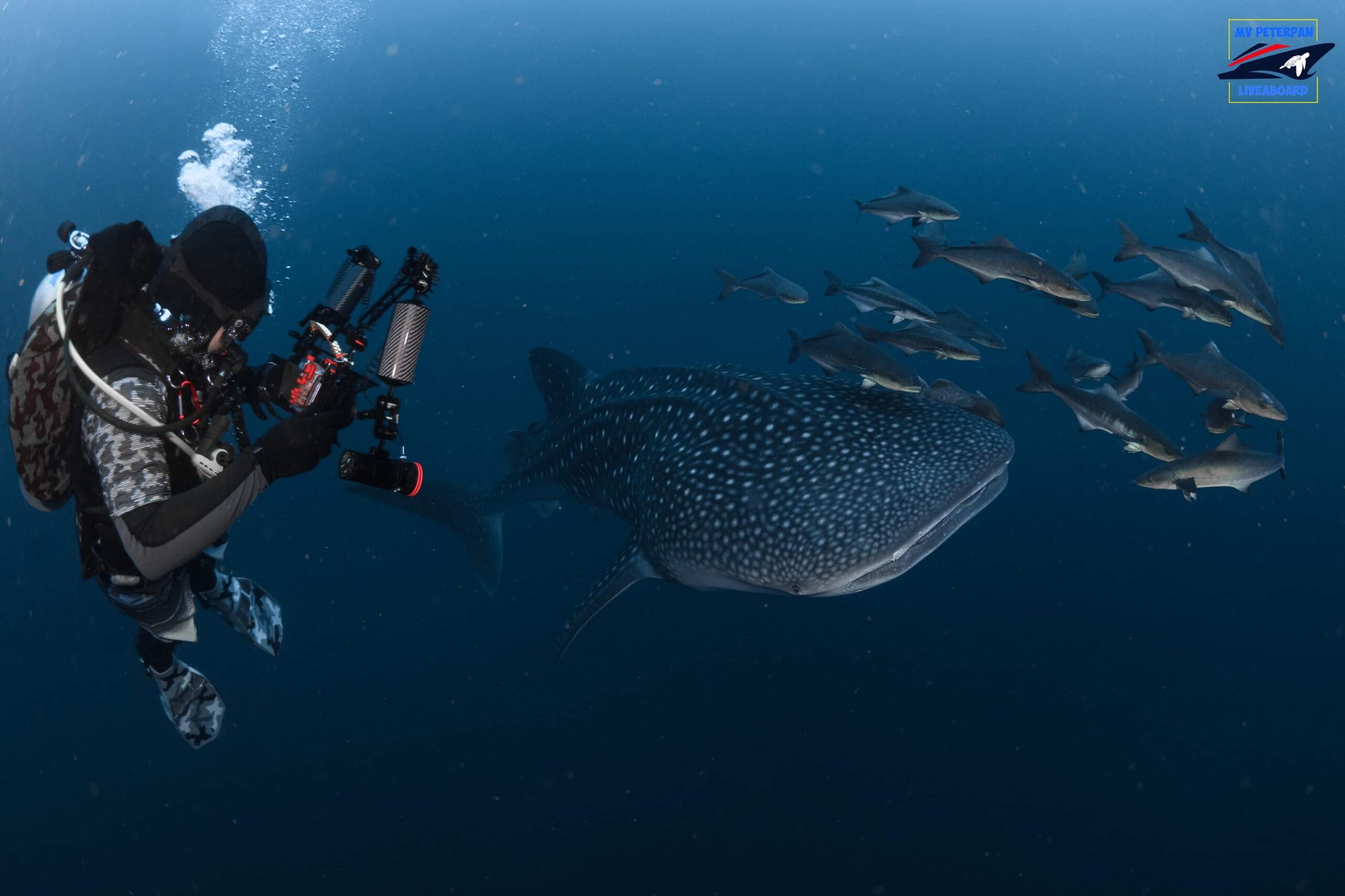 South Andaman 6 DAYS 5 NIGHTS 15 DIVES (National Park) - Dive Mate