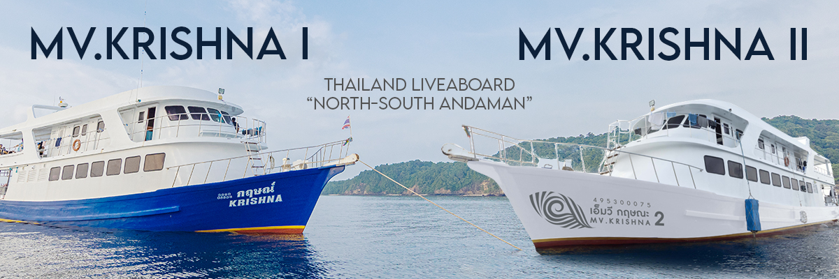 thailand liveaboard - Dive Mate