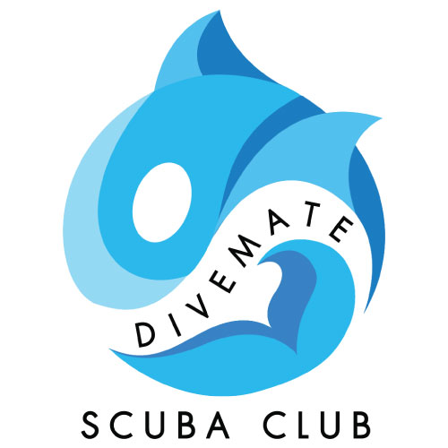 Home Page ไดฟ์เมทสคูลบ้าคลับ - Dive Mate