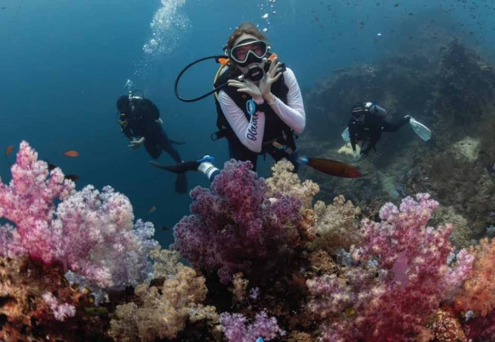 South Andaman 6 DAYS 5 NIGHTS 15 DIVES (National Park) - Dive Mate