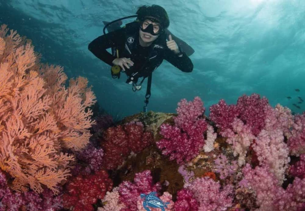 South Andaman 6 DAYS 5 NIGHTS 15 DIVES (National Park) - Dive Mate