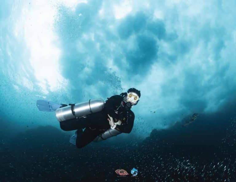 North Andaman 6 Days 5 Nights / 15 Dives (National Park) - Dive Mate