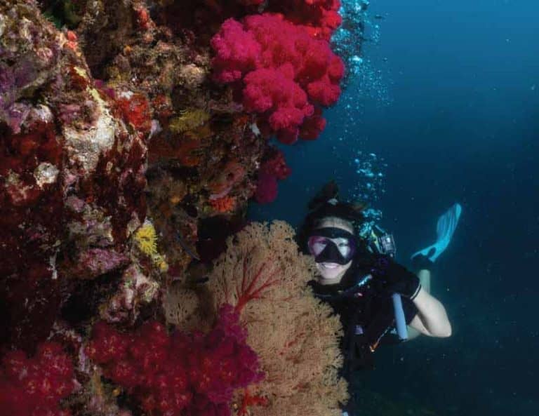 North Andaman 6 Days 5 Nights / 15 Dives (National Park) - Dive Mate