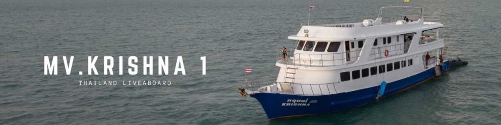 thailand liveaboard - Dive Mate