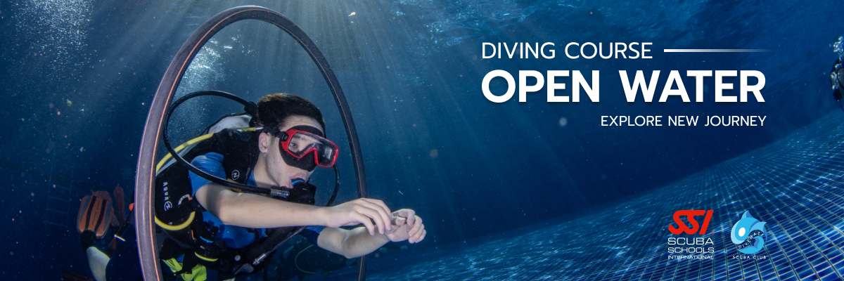 Course-Openwater - Dive Mate