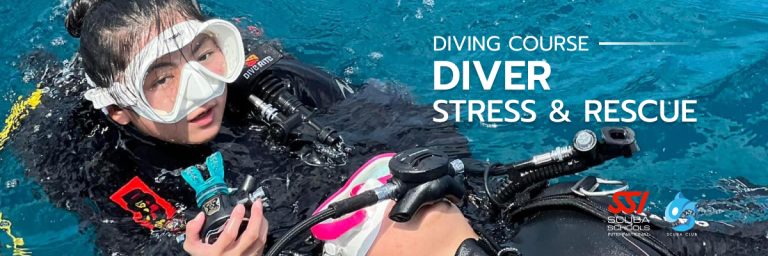 Course-Diver-Stress-Rescue - Dive Mate