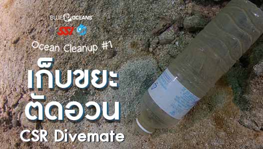 CSR OCEAN CLEAN UP 1 - Dive Mate