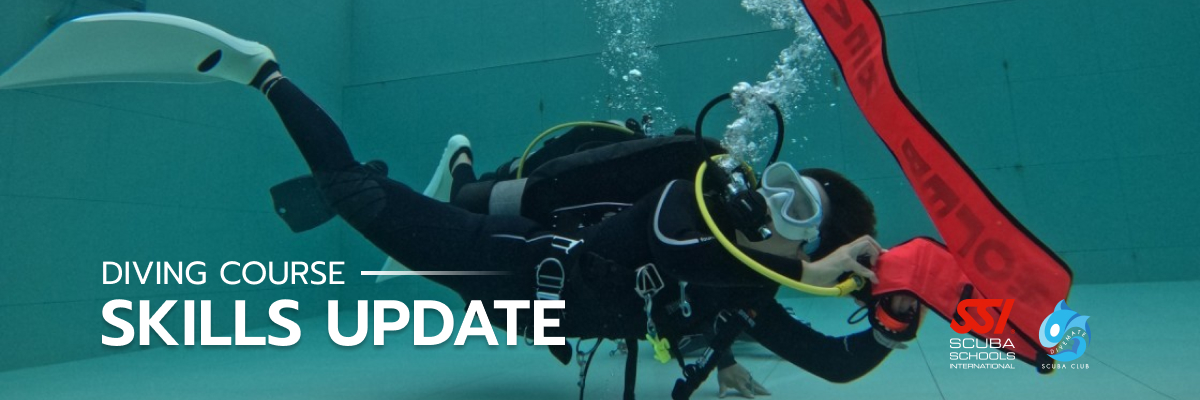 Course-Refresh-Skills - Dive Mate