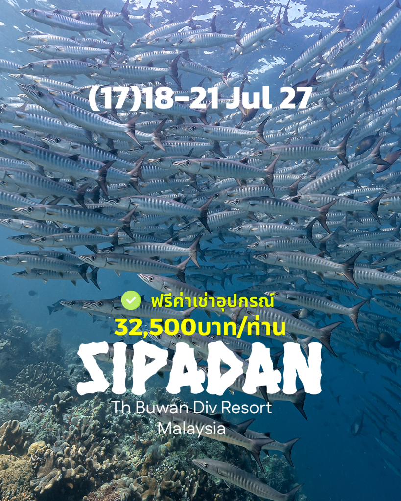 ทริปดำน้ำต่างประเทศ | Liveaboard & Dive Trip ระดับโลก — Divemate